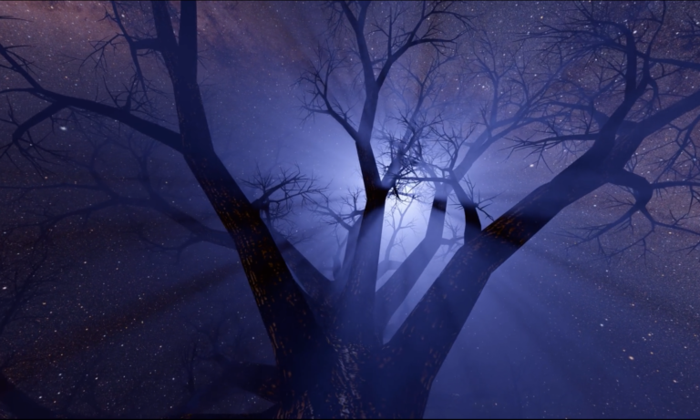 COSMO TREE – 総合卸売業 株式会社コスモツリー